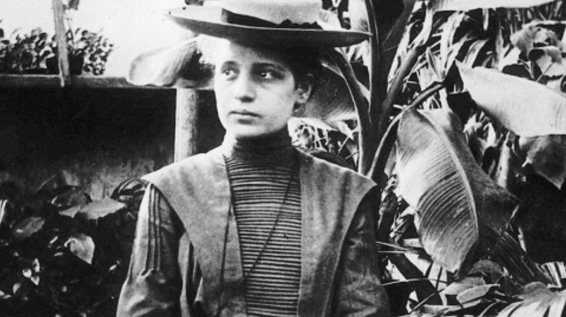 Nettie Stevens: Discovering Sex Chromosomes – Her Stem Space